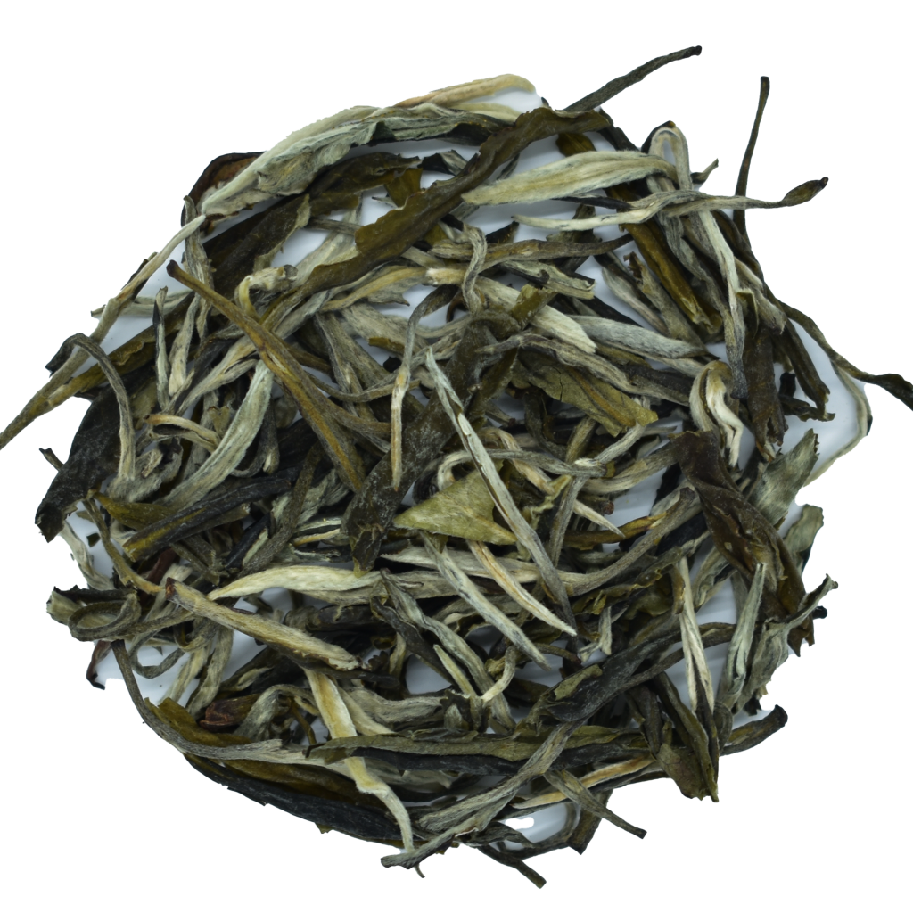 TÉ BLANCO CHINA PINE NEEDLES - Distribuidores y Tostadores de Café en ...